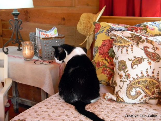 "Signs of Spring" FREE Printables - CREATIVE CAIN CABIN