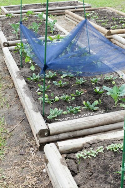 DIY Garden Shade Cloth