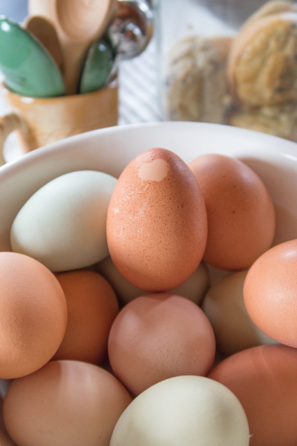 "Signs of Spring" FREE Printables - CREATIVE CAIN CABIN