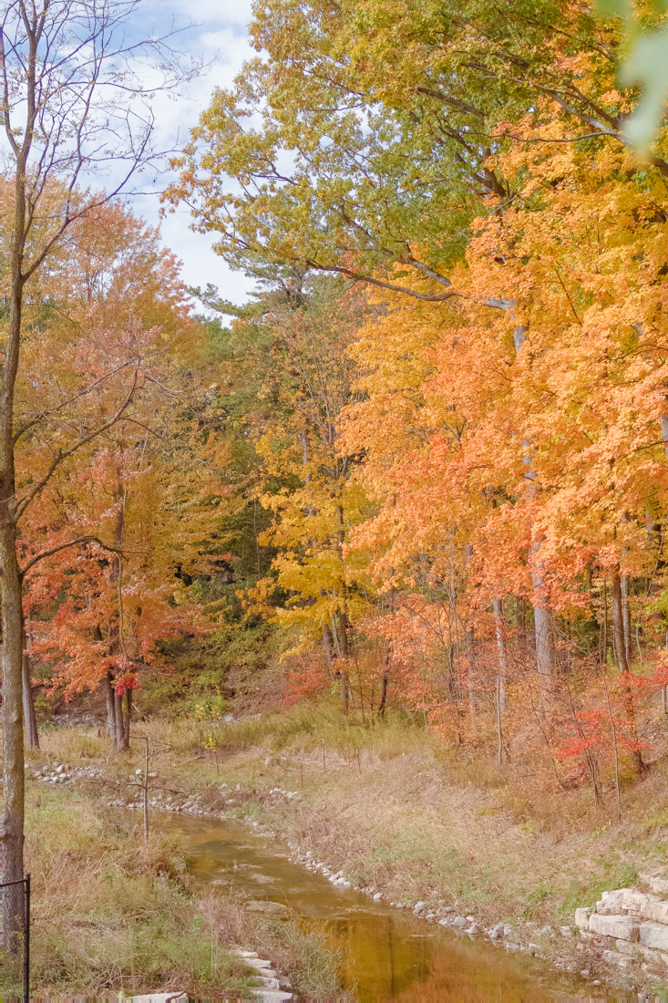 Fall Day Trip \ Dow Gardens - CREATIVE CAIN CABIN