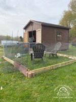 My Temporary Chicken Run Build, No Tools Required - CREATIVE CAIN CABIN