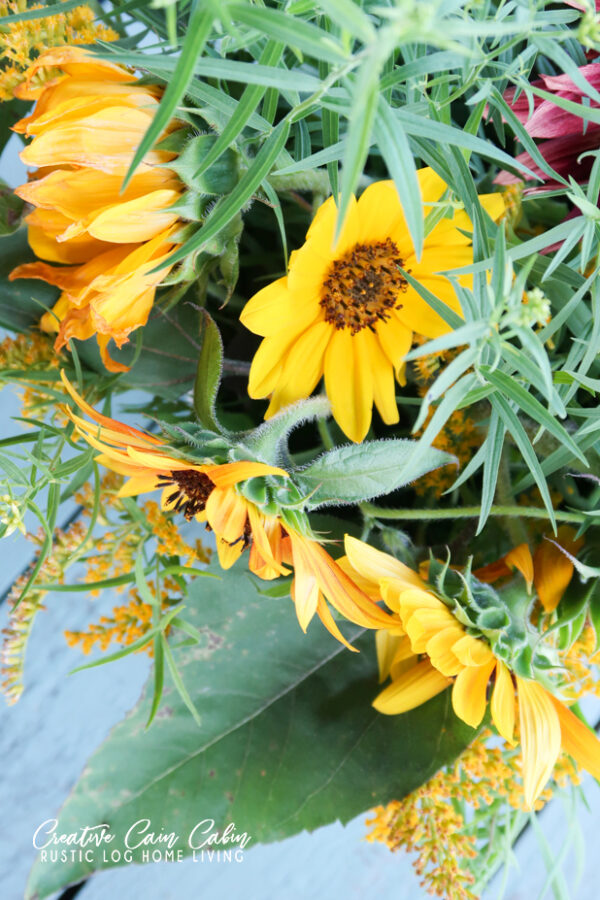 The Last Sunflower Blooms From My Fall Garden - CREATIVE CAIN CABIN