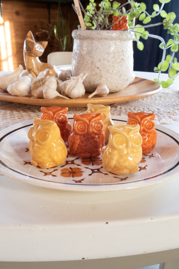 Welcome To Creative Cain Cabin