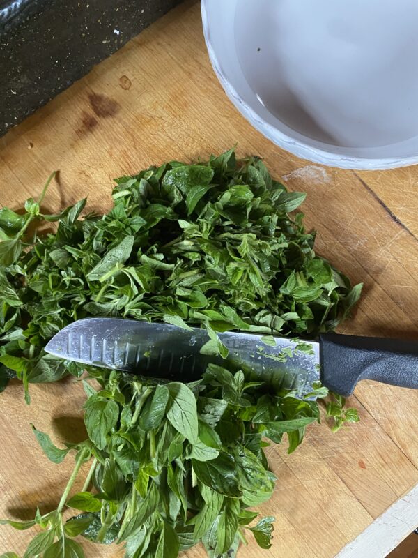 How to make an oregano tincture with fresh herbs - CREATIVE CAIN CABIN
