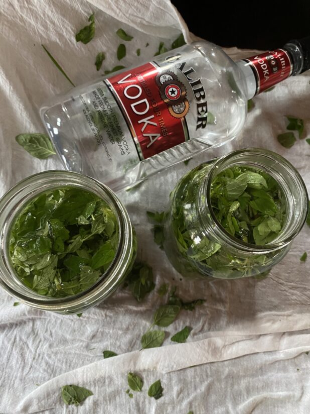 How to make an oregano tincture with fresh herbs - CREATIVE CAIN CABIN