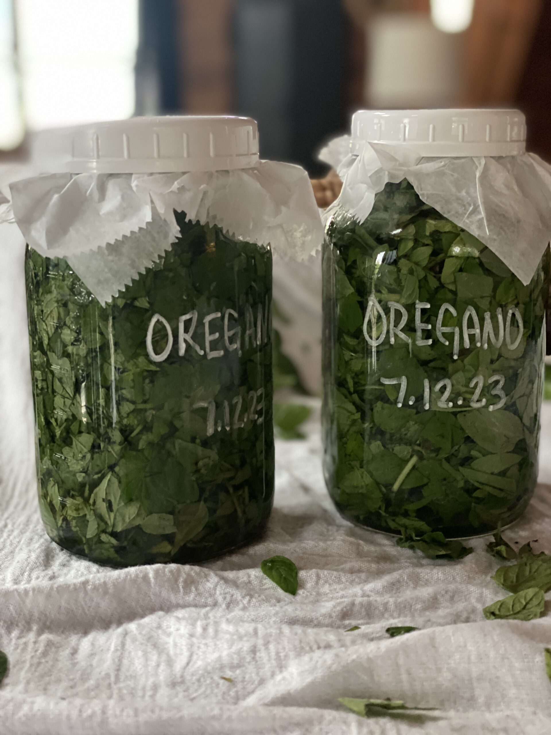 How to make an oregano tincture with fresh herbs - CREATIVE CAIN CABIN